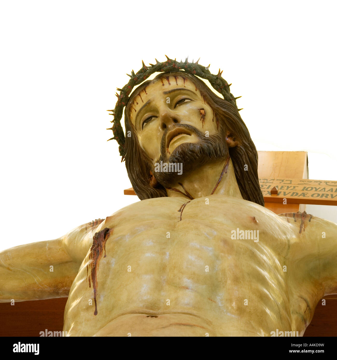 Jesus on the cross the crucifixtion torso and head detail Stock Photo ...