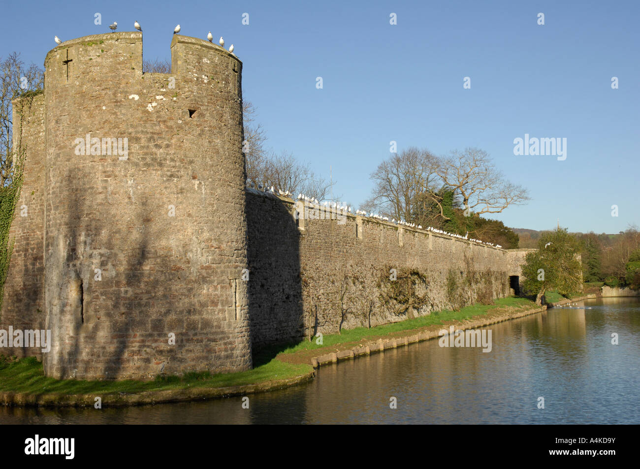 Bishop's Palace and Moat, Wells, England Stock Photo - Alamy