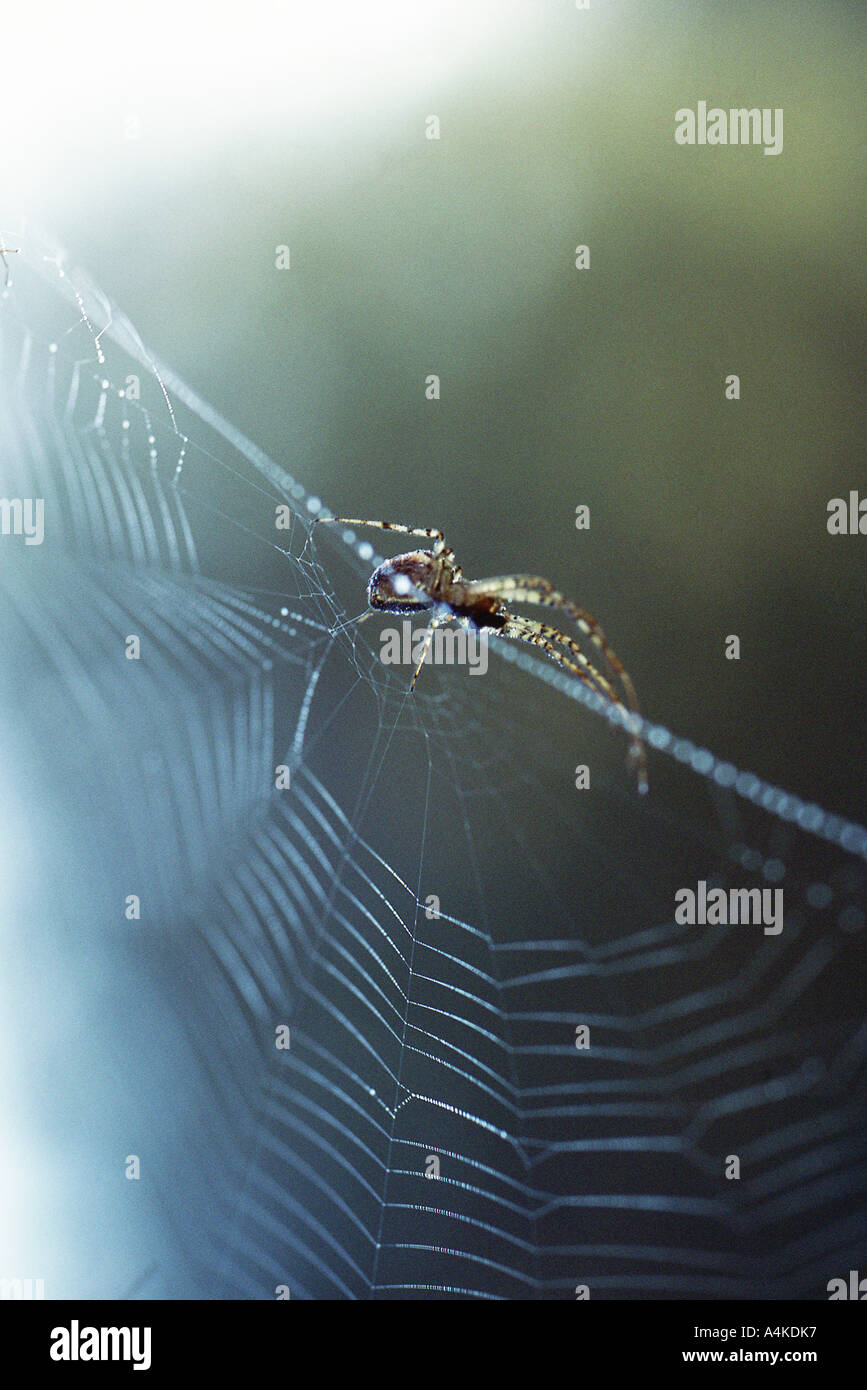 Shape profile shapes profiles hi-res stock photography and images - Alamy