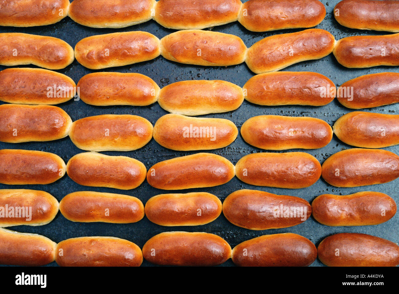 Buns baking, full frame Stock Photo - Alamy