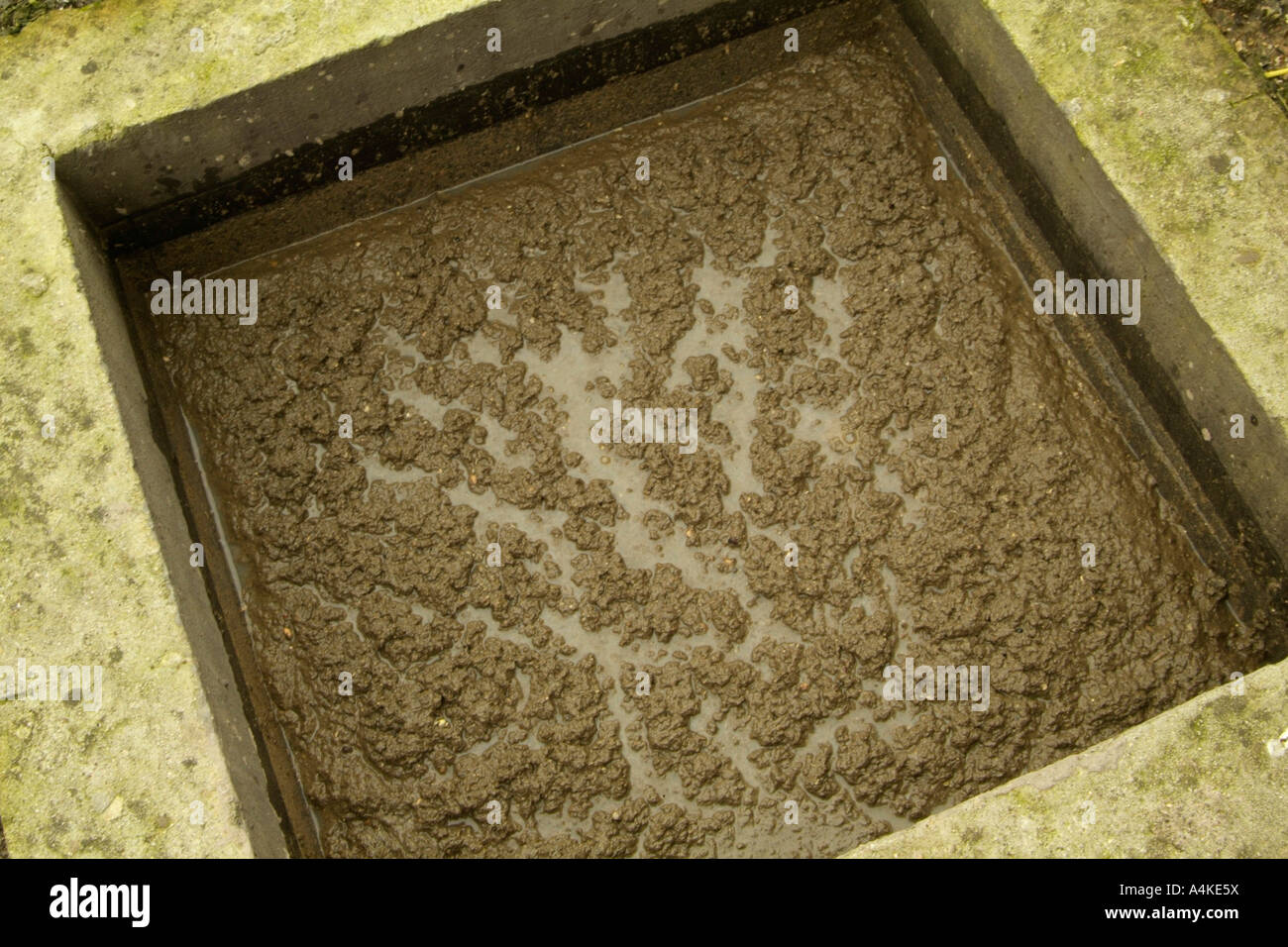Wastewater Treatment Sludge Samples at Martha Gonsalez blog