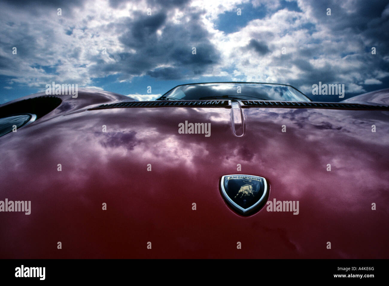 Lamborghini bull logos hi-res stock photography and images - Alamy