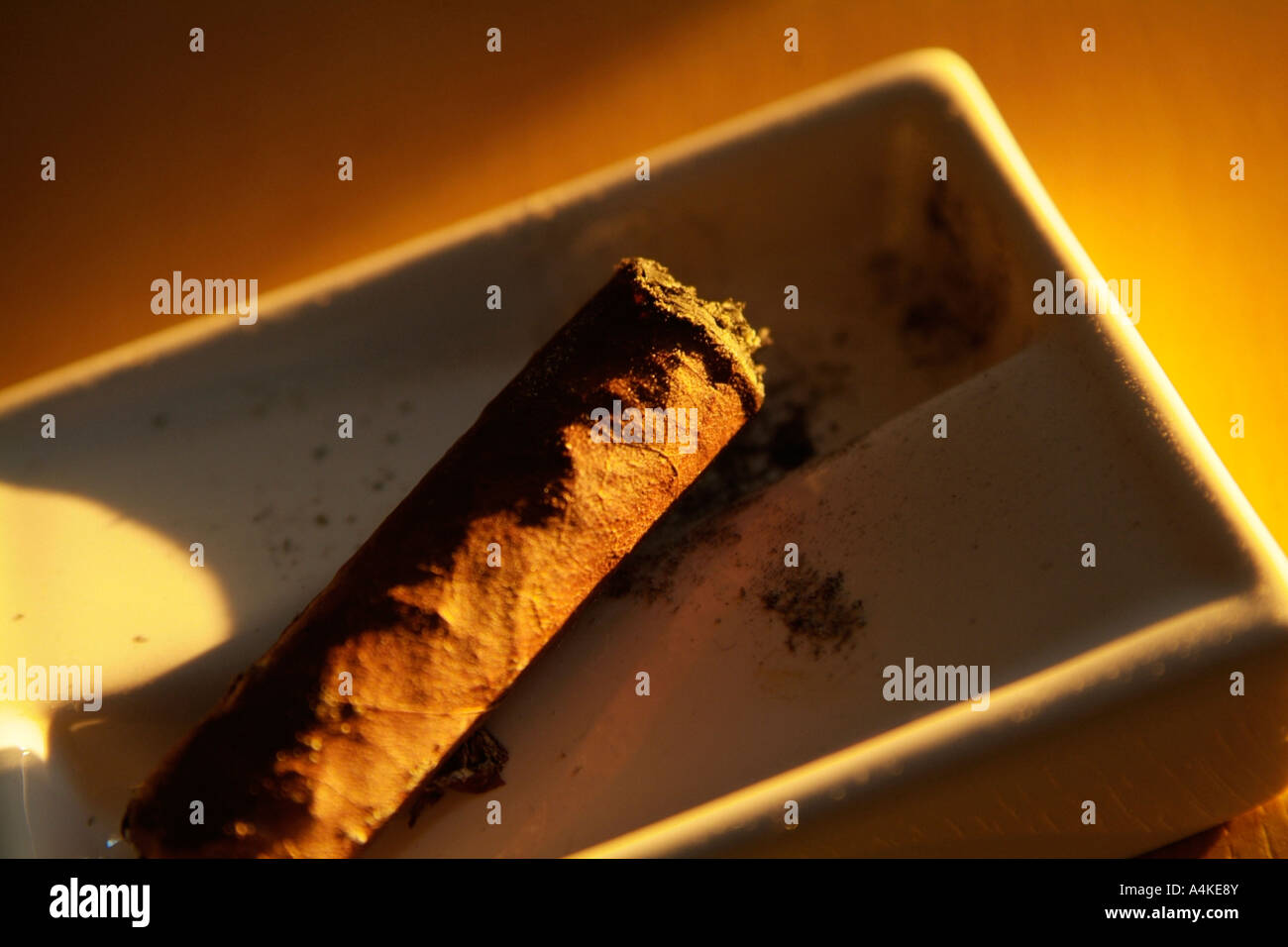 end of a cigar resting on a white ashtray Stock Photo - Alamy