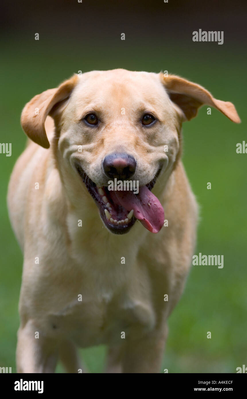 Excersise running hi-res stock photography and images - Alamy