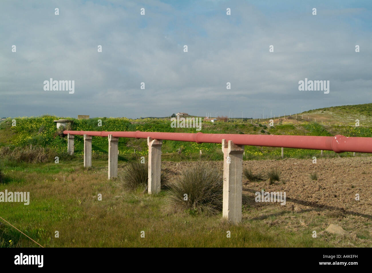 sewer pipe over the ground in Portugal Stock Photo - Alamy
