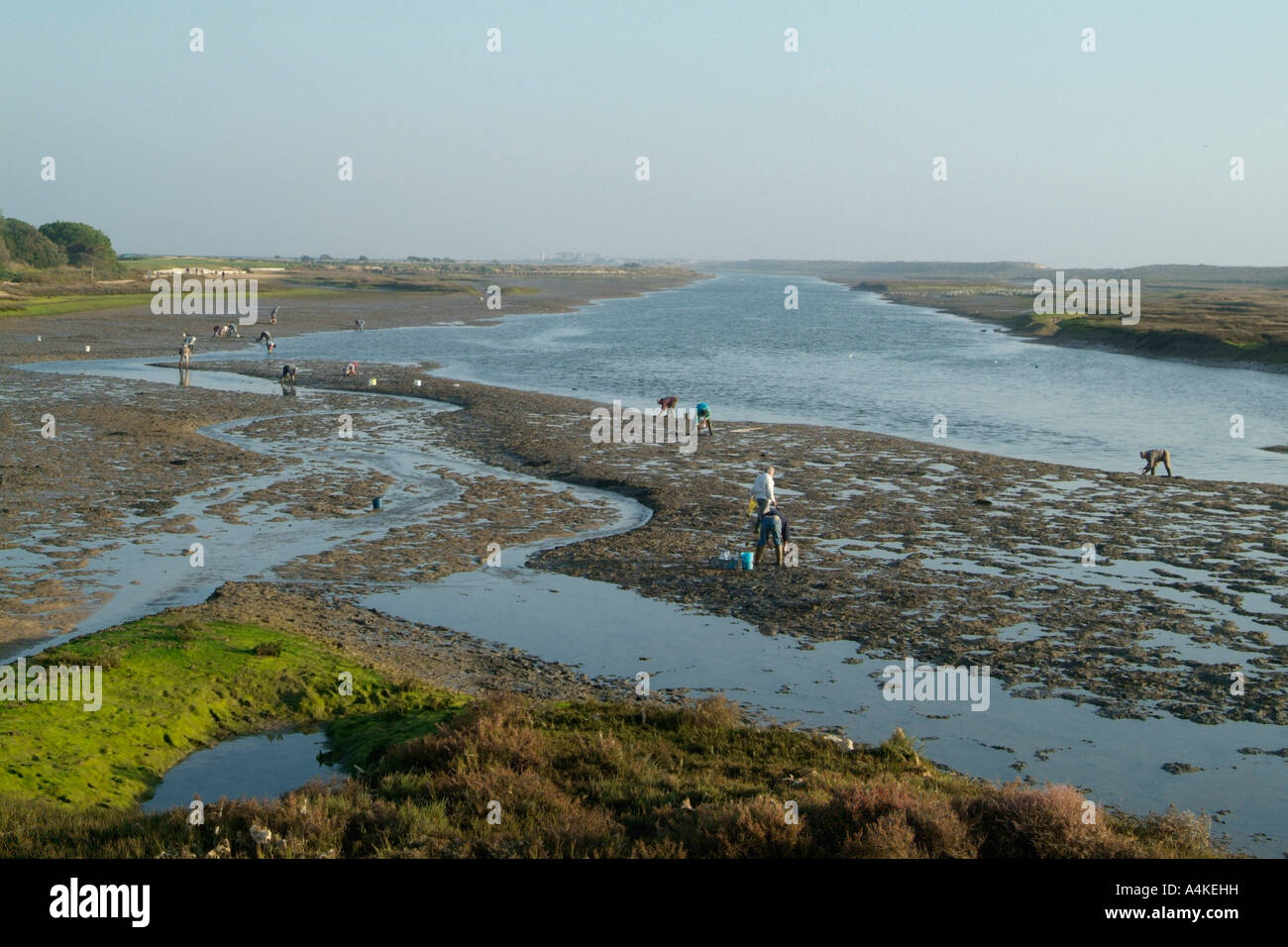 Ria formosa marshes hi-res stock photography and images - Alamy