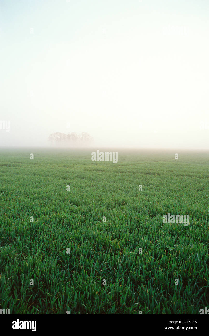 Vaste field hi-res stock photography and images - Alamy