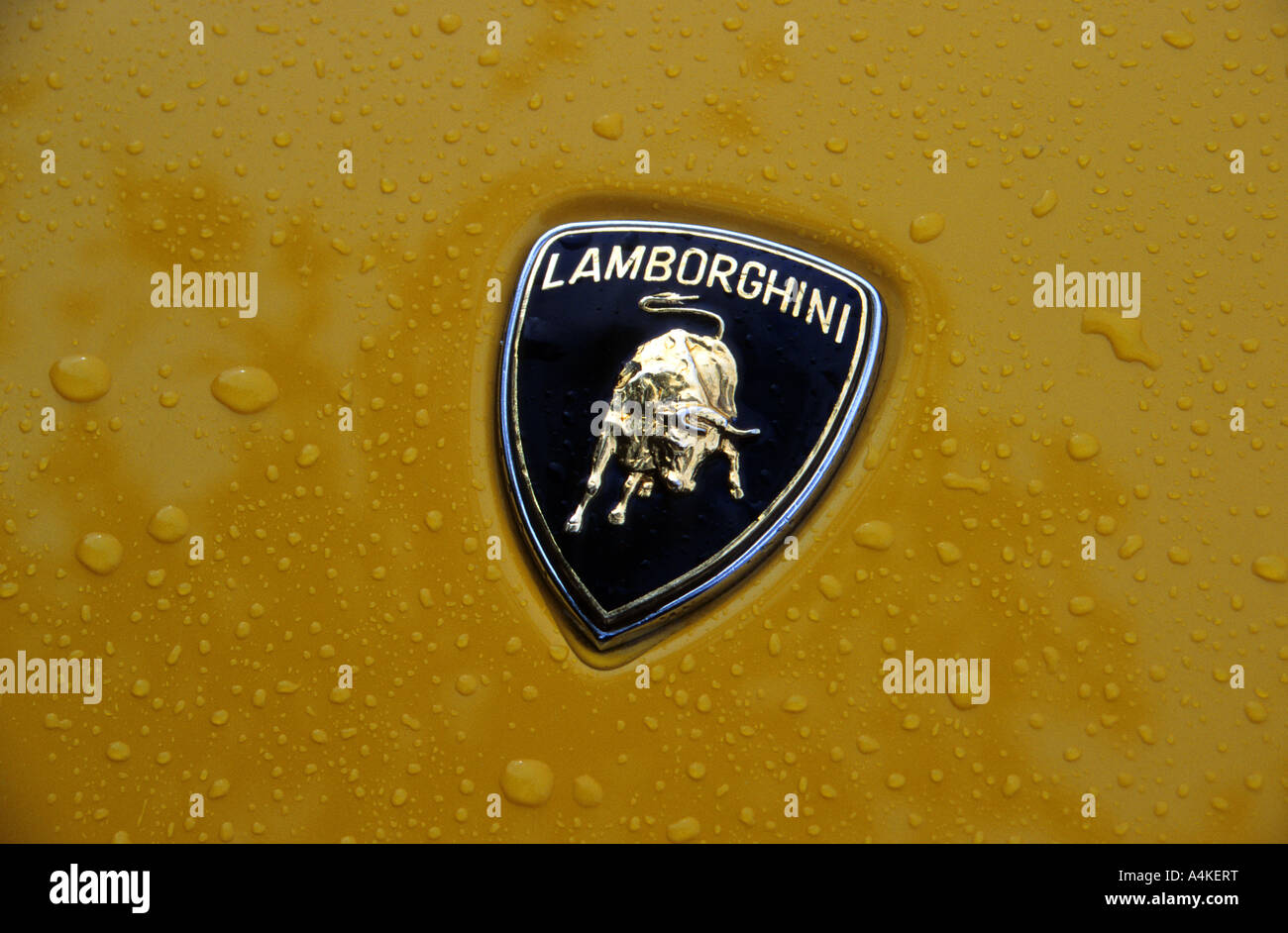 Lamborghini bull logos hi-res stock photography and images - Alamy