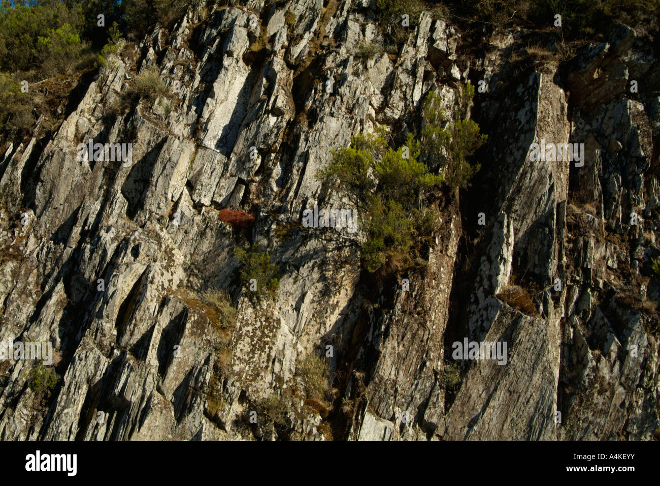 Vegetation crack in cliff hi-res stock photography and images - Alamy