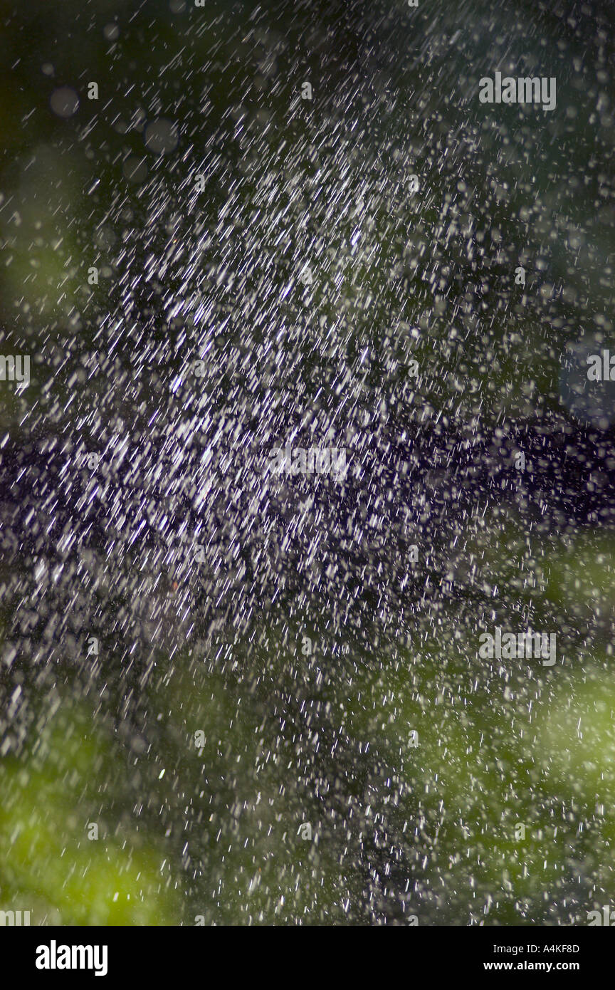 Pure water sprinkler hi-res stock photography and images - Alamy