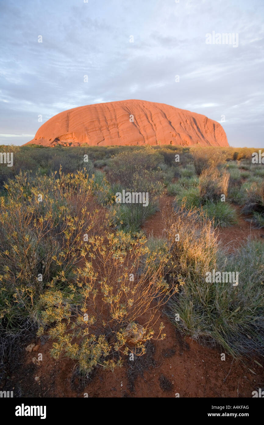 Anangu tribe hi-res stock photography and images - Alamy