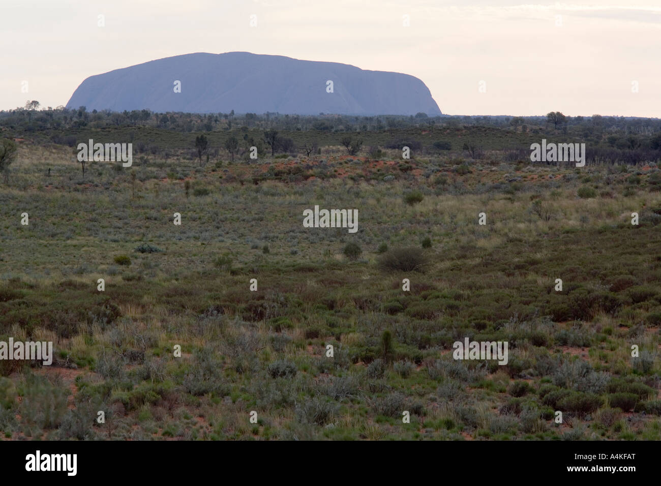 Anangu tribe hi-res stock photography and images - Alamy