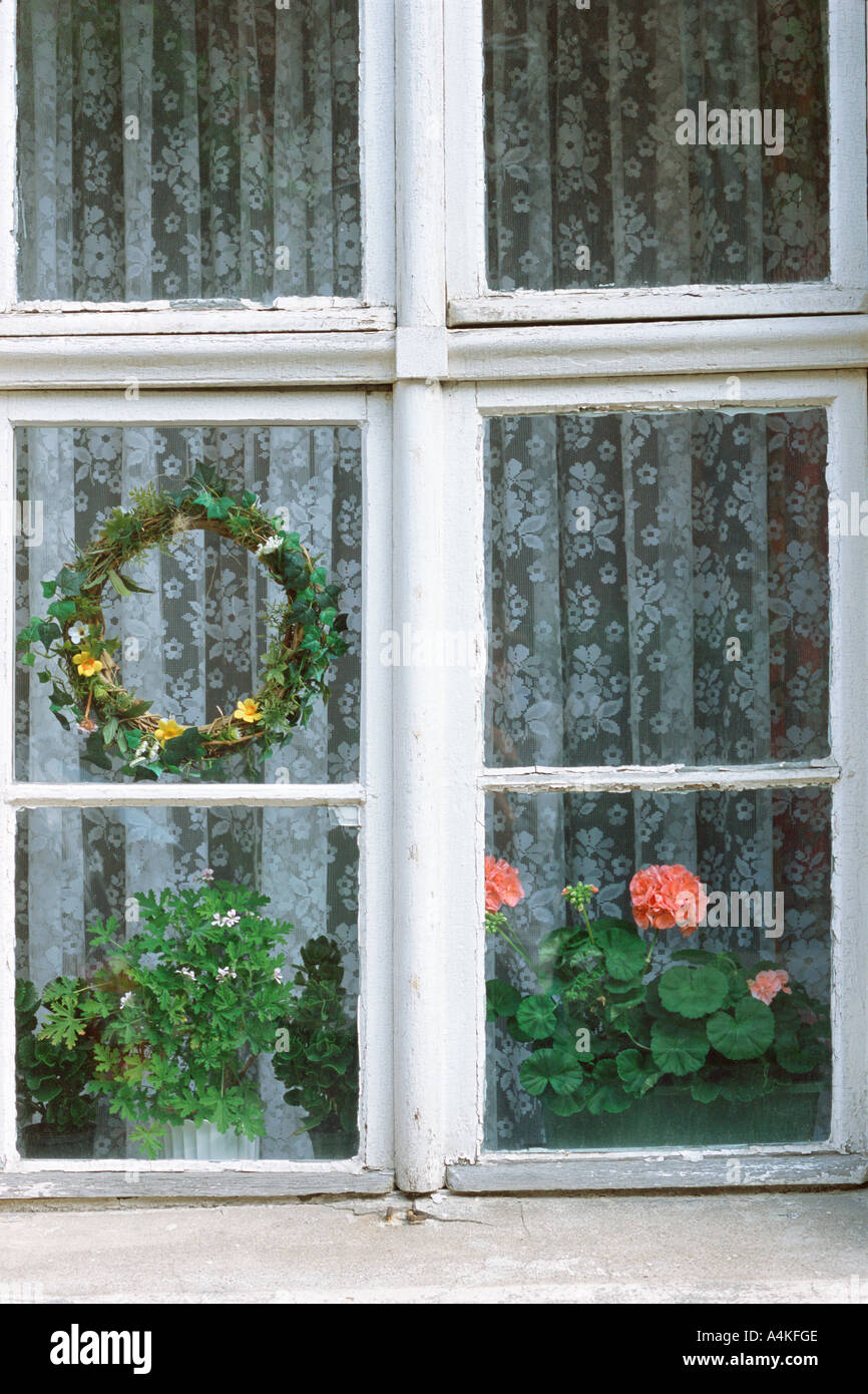 Plants outside window sill hi-res stock photography and images - Alamy