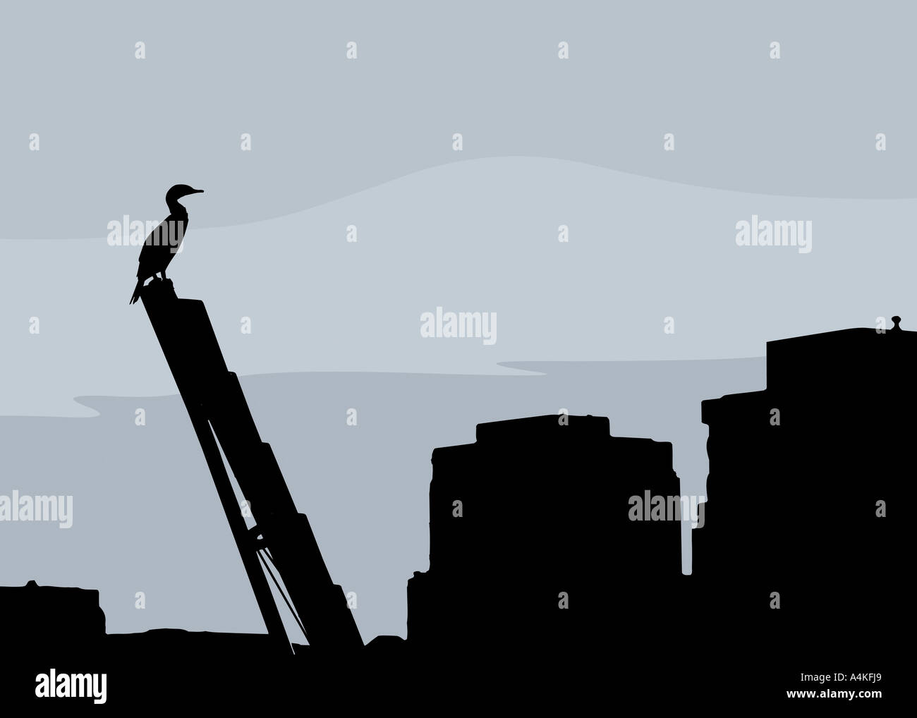 Daniel bird hi-res stock photography and images - Alamy