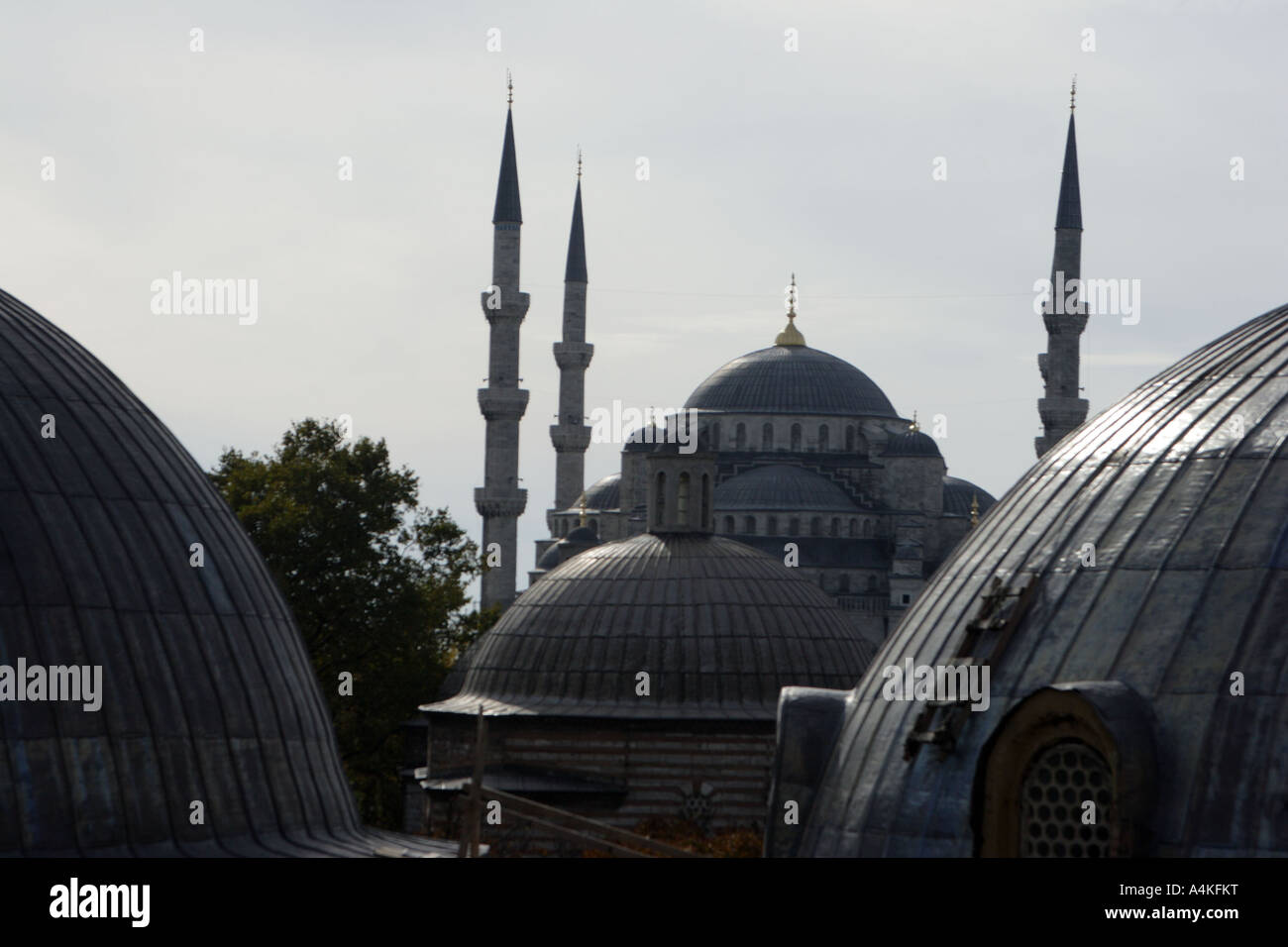 Blue mosque Istanbul Turkey Stock Photo - Alamy