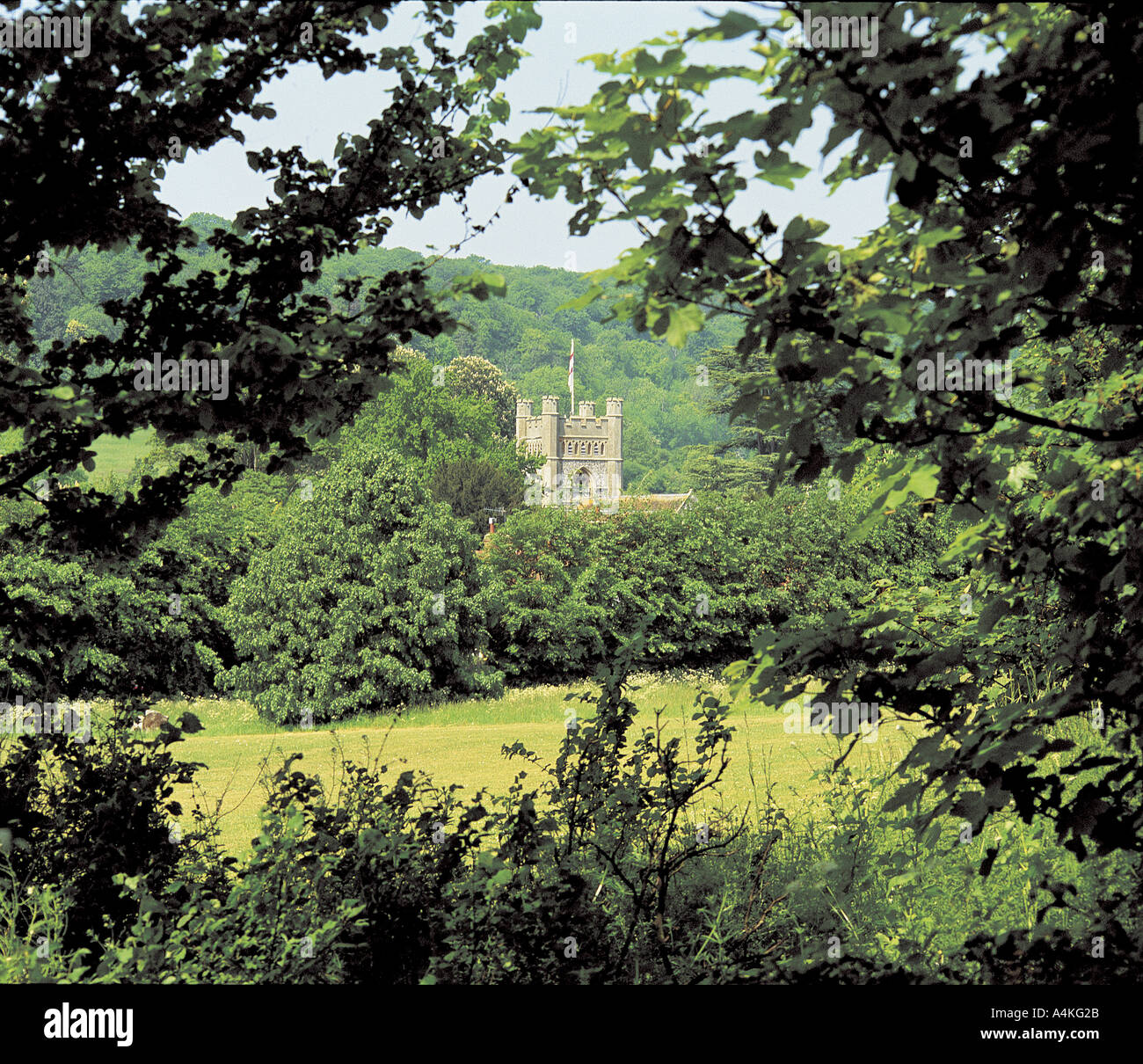 Church tower through trees Stock Photo - Alamy