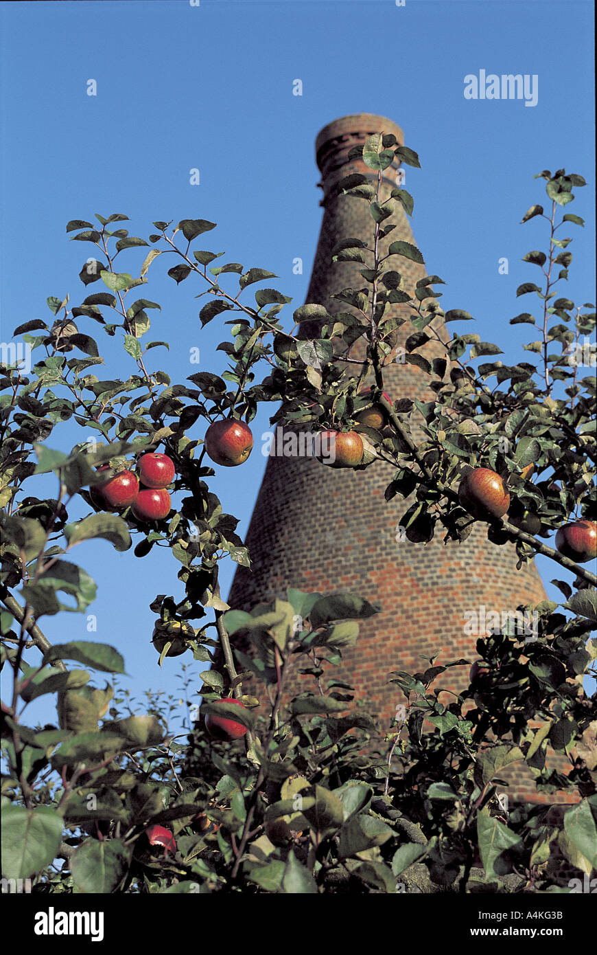 Nettlebed hi-res stock photography and images - Alamy