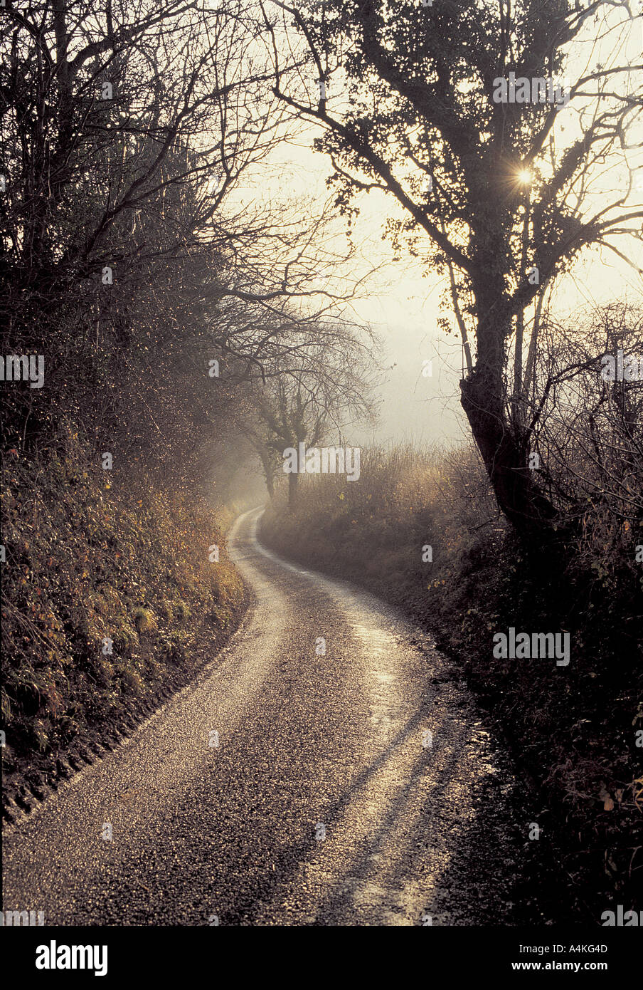 Country aesthetic hi-res stock photography and images - Alamy