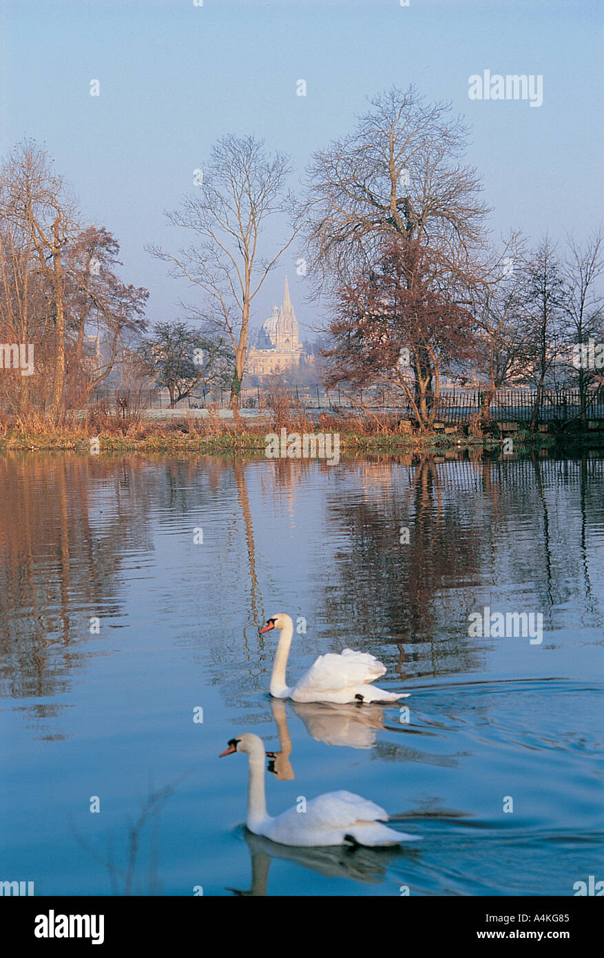 Radcliffe Camera and St Marys church across the river Isis, Oxford ...