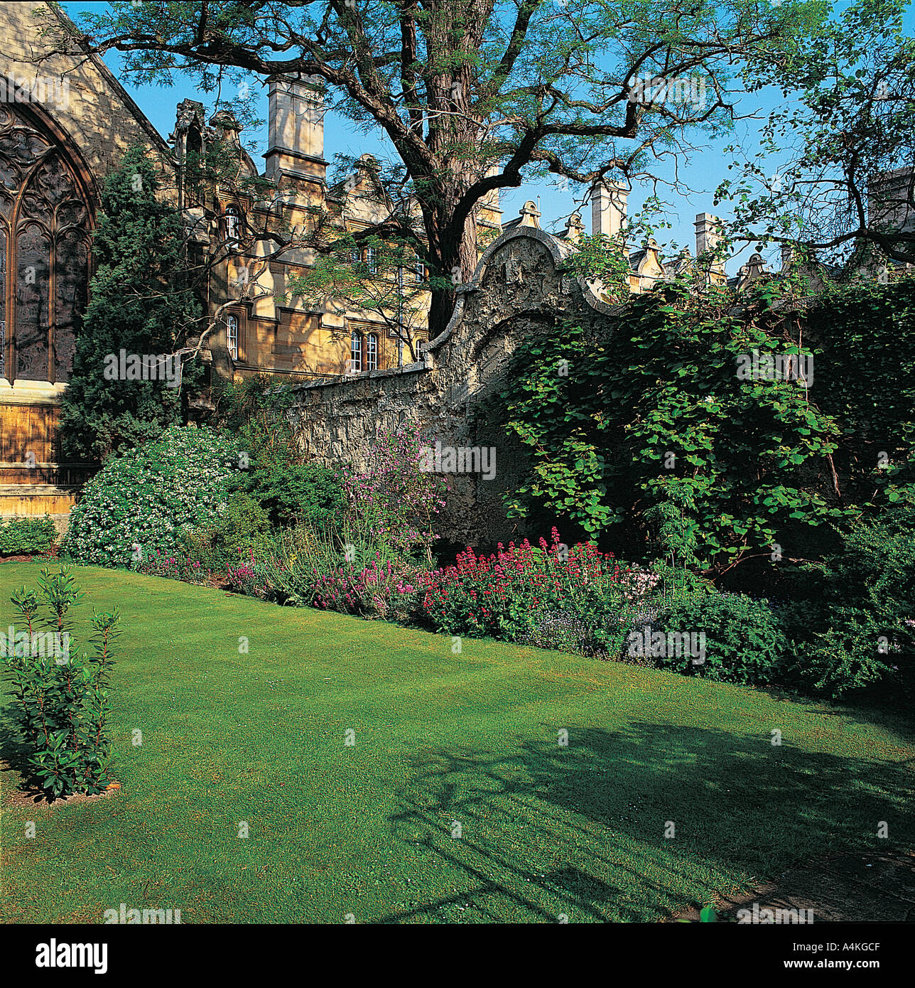 University College Garden, Oxford Stock Photo - Alamy
