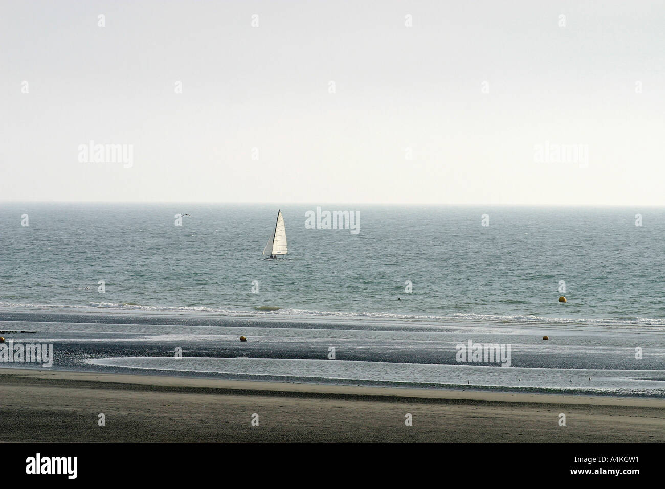 Gray sail hi-res stock photography and images - Alamy