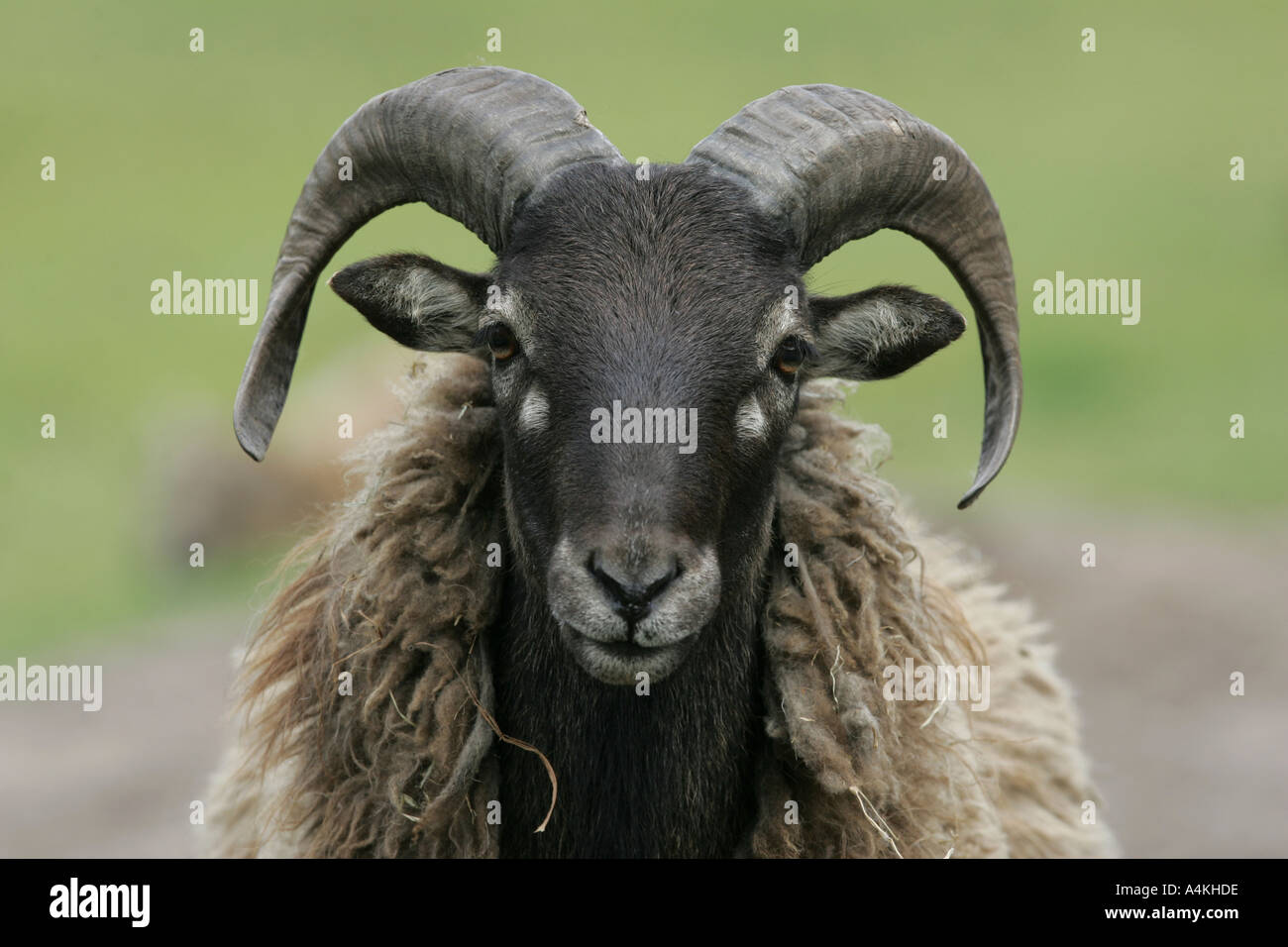 1 neg hi-res stock photography and images - Alamy