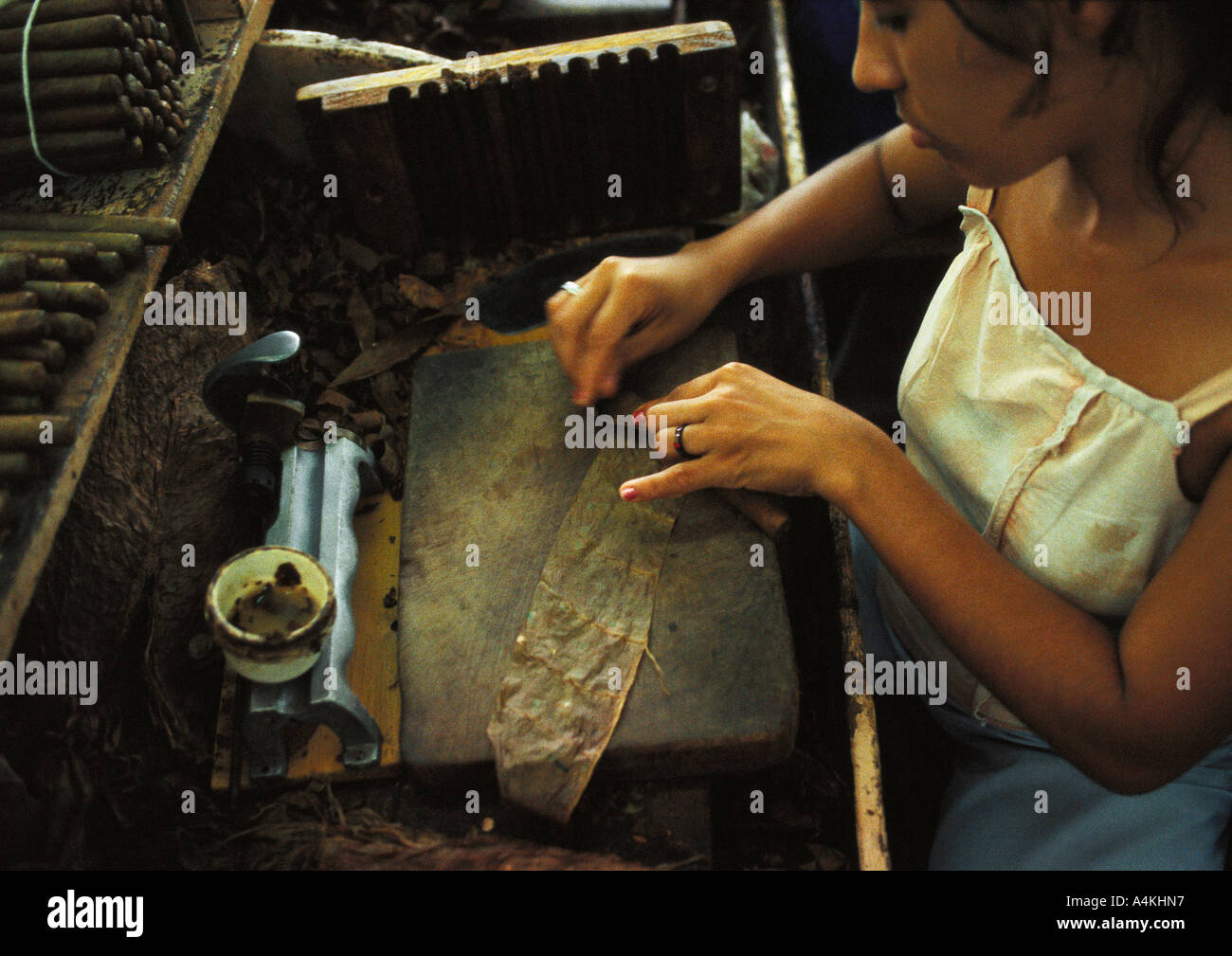 Cigar Production Stock Photos & Cigar Production Stock Images - Alamy