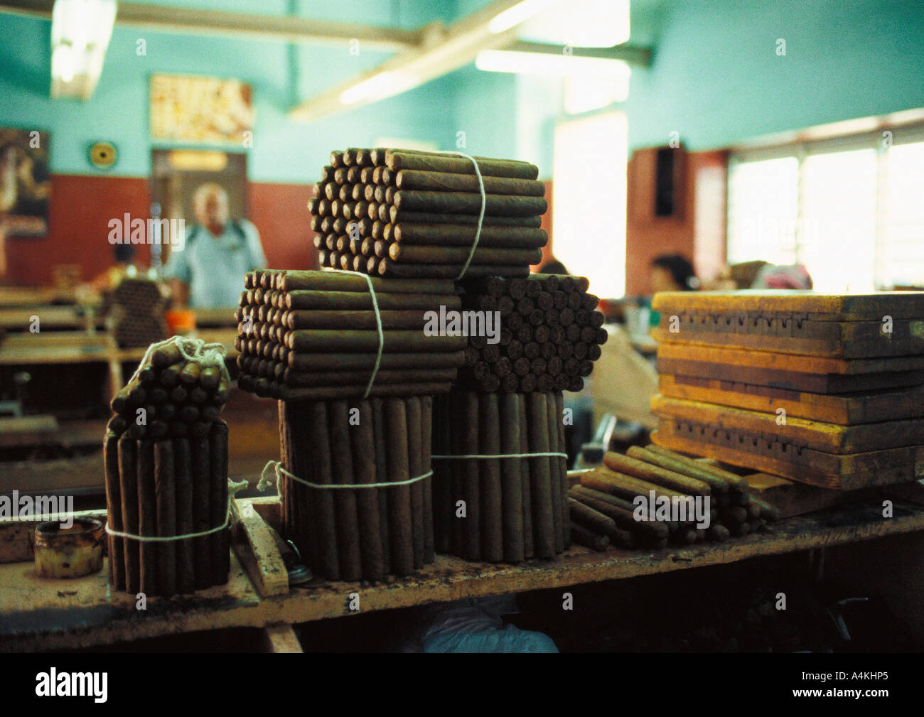 Cuba, Havana, bundles of cigars Stock Photo - Alamy
