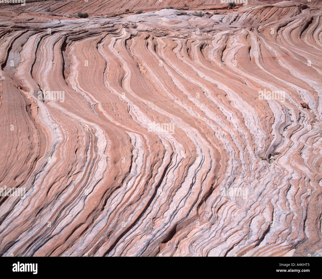 Wavy patterns of weathered sandstone Stock Photo - Alamy