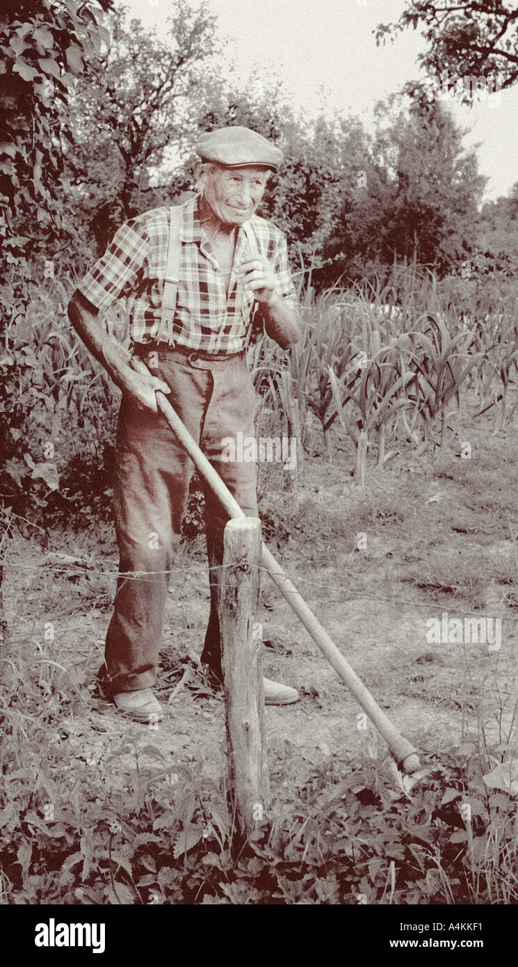 Old farm worker working in vegetable plot LA VENDEE France Stock Photo ...