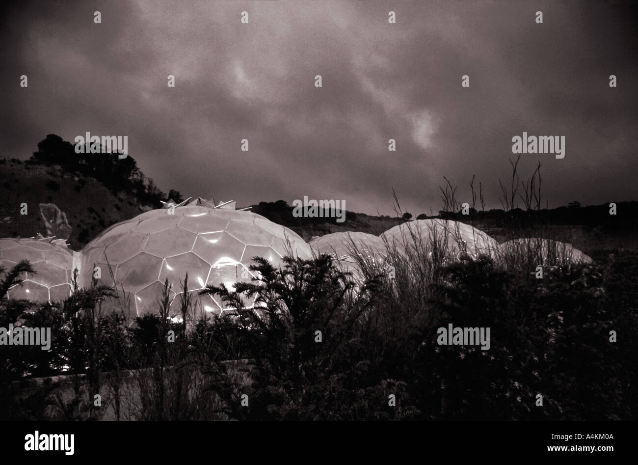 Humid Tropics and Warm Temperate Biomes and the grass roofed Link at ...