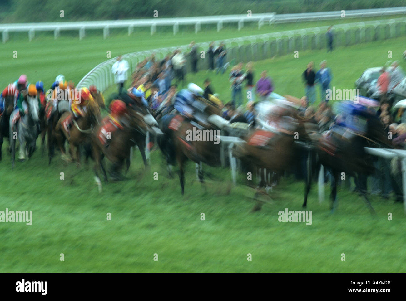 Chester Races Horse High Resolution Stock Photography and Images - Alamy