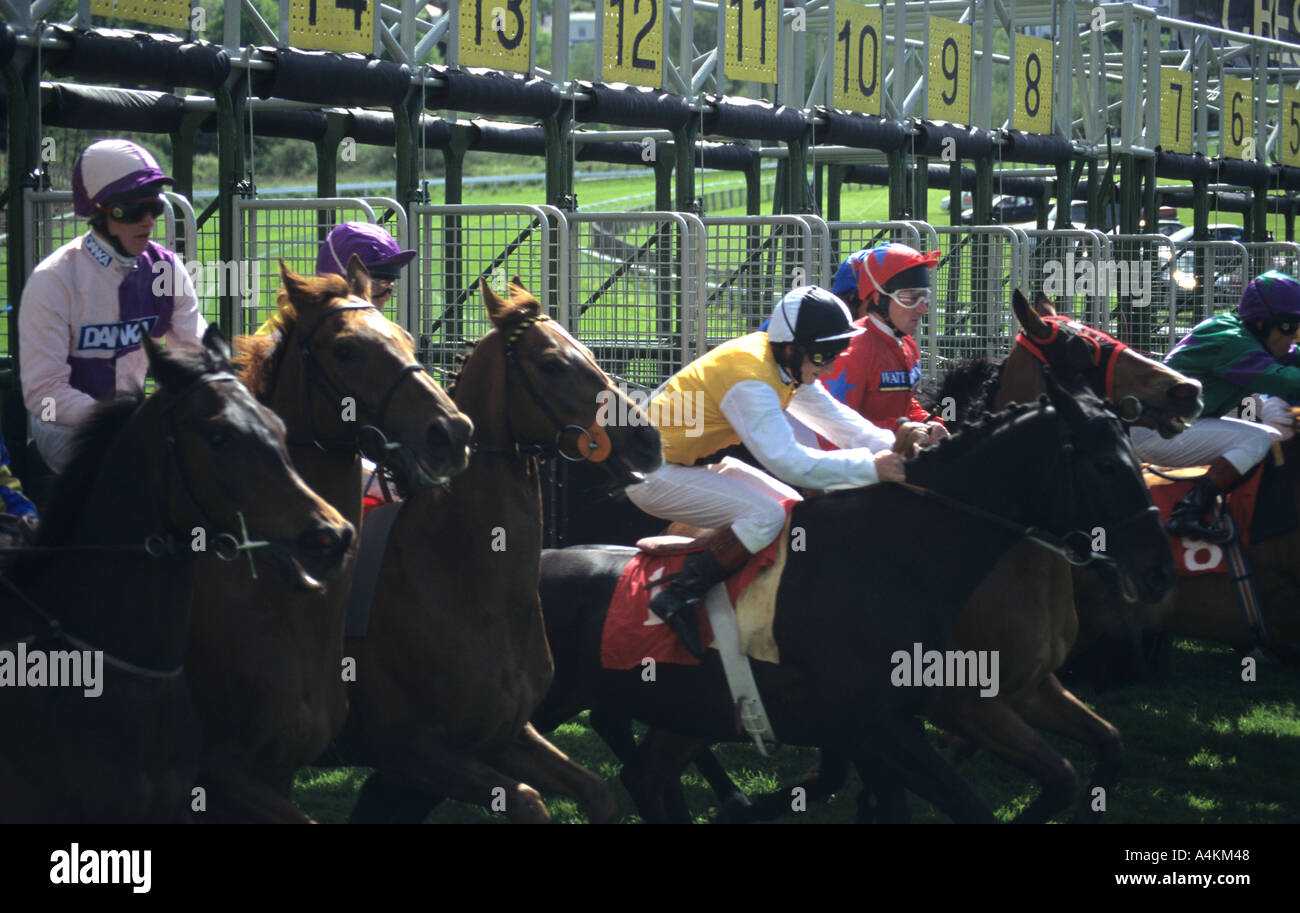 Start Of Horse Race at Chester Stock Photo - Alamy