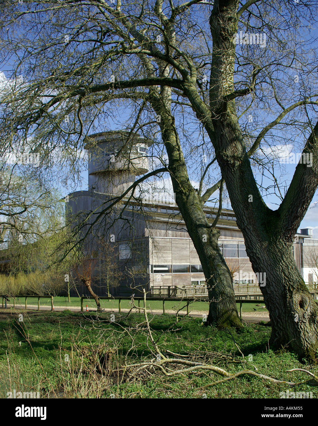 Visitors centre and observation tower Slimbridge Gloucestershire UK ...