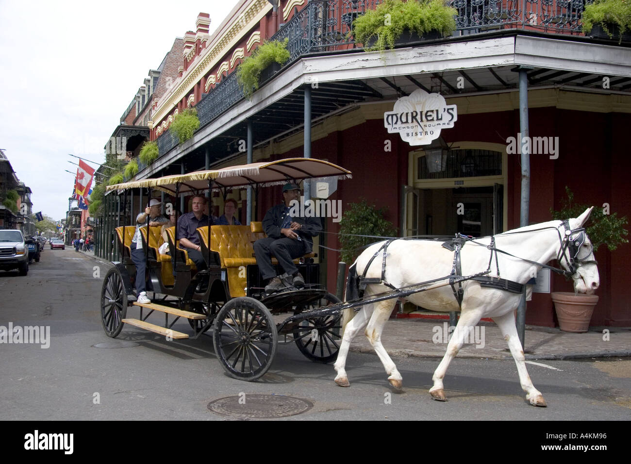 Mule drawn carriage hi-res stock photography and images - Alamy