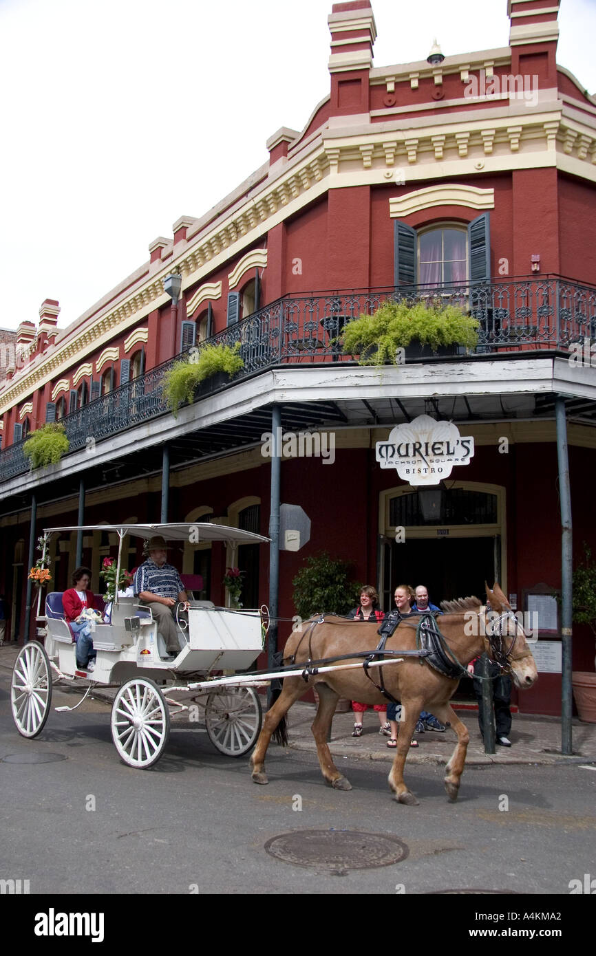 Mule drawn carriage in the French Quarter of New Orleans Louisiana ...