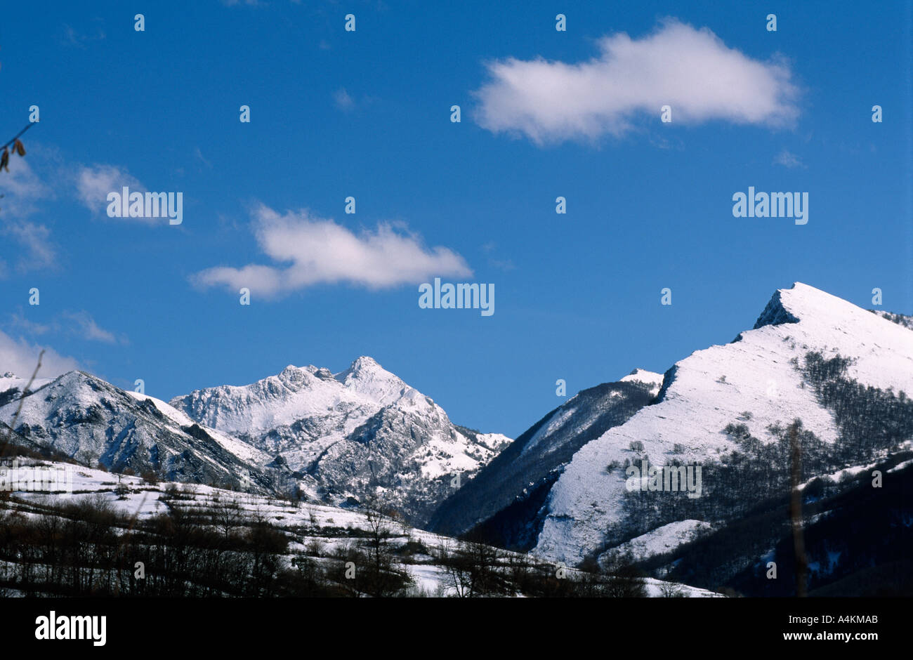 Orle Valley in Redes Natural Park and Biosphere Reserve, Asturias ...