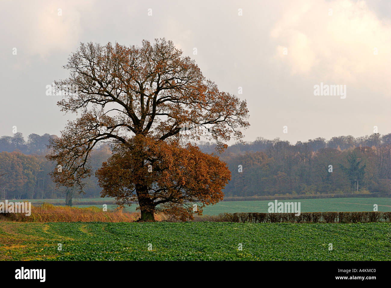 Chiltern Landscape 1 near Great Missenden England UK Stock Photo - Alamy