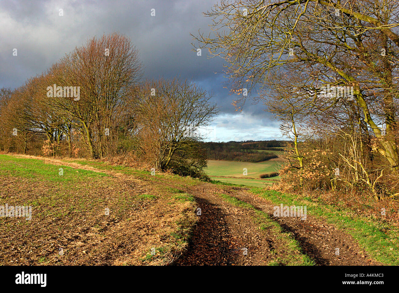 Chiltern Landscape near Great Missenden England UK Stock Photo - Alamy