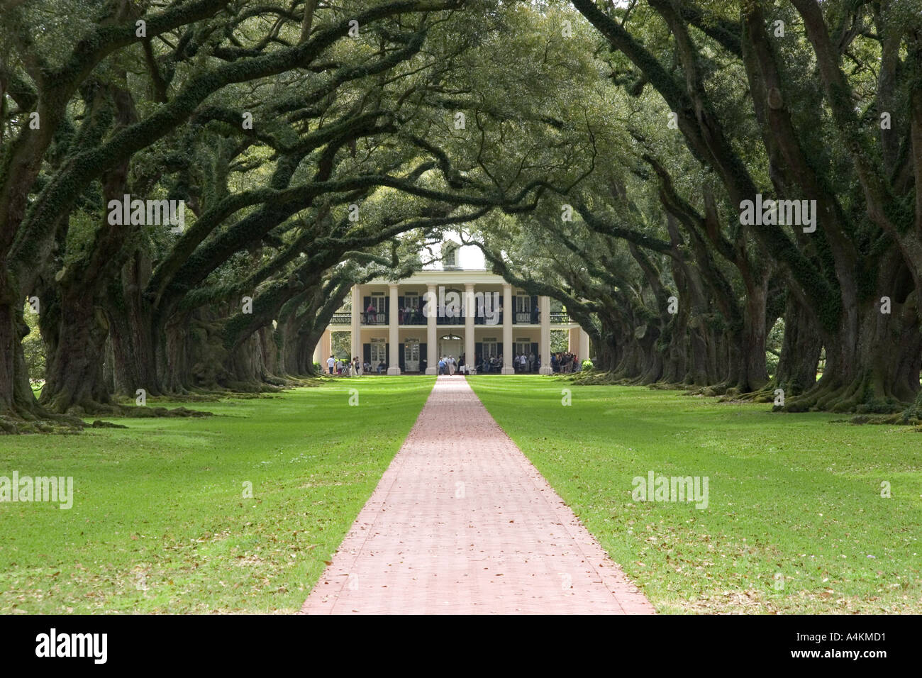 Oak alley plantation antebellum mansion hi-res stock photography and ...