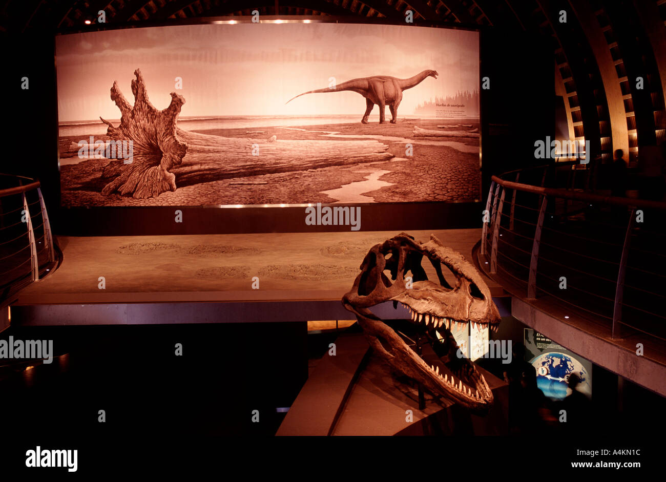 Jurasico hi-res stock photography and images - Alamy