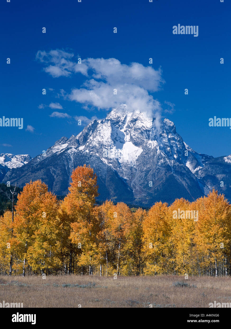 David moran hi-res stock photography and images - Alamy