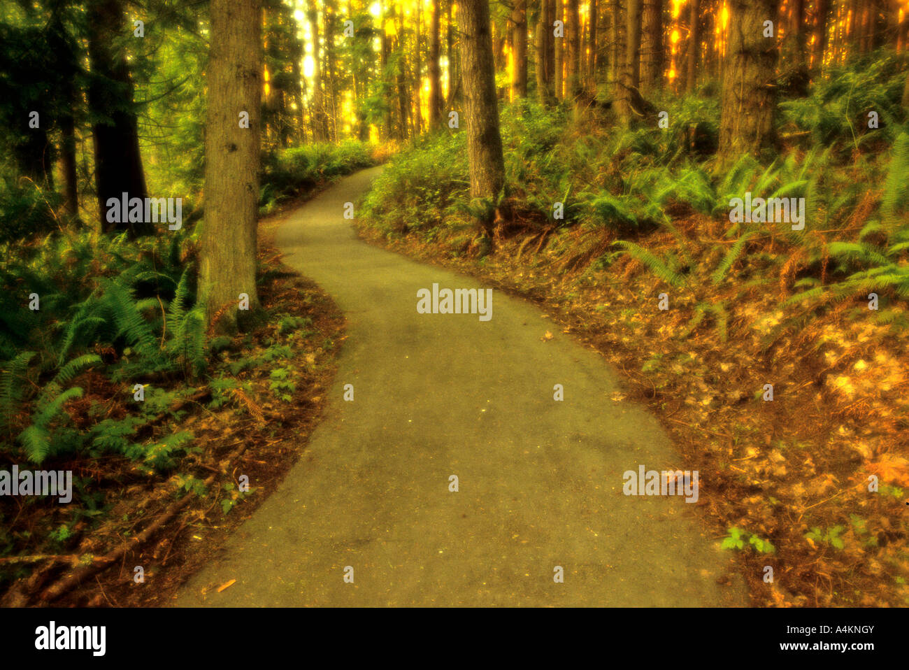 Redmond watershed preserve hi-res stock photography and images - Alamy