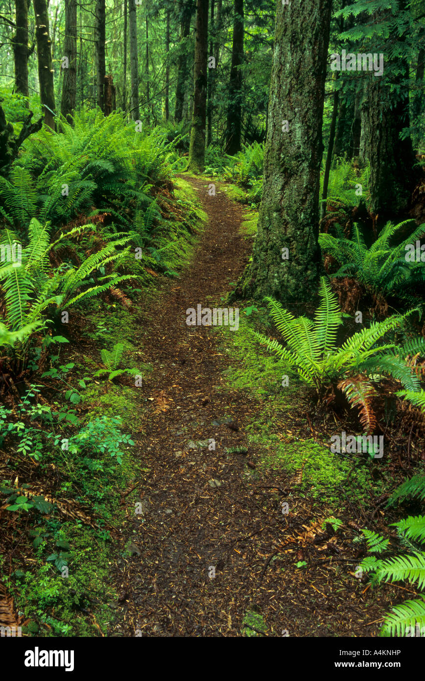 Redmond watershed preserve hi-res stock photography and images - Alamy