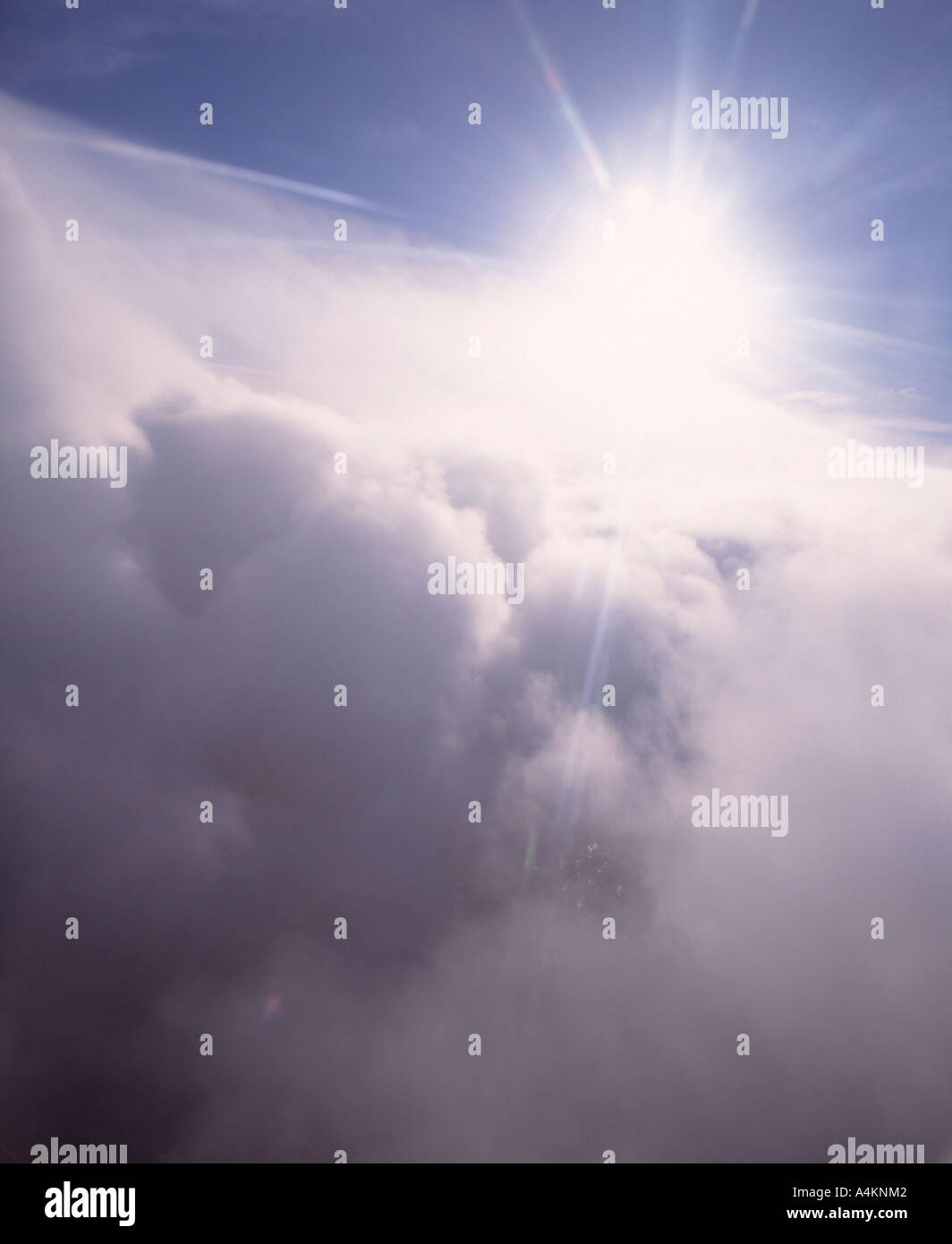 Lens flare sun through tops hi-res stock photography and images - Alamy