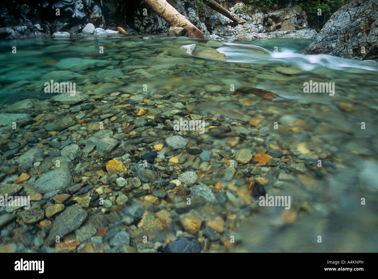 Silver Creek flows through the Mount Baker Snoqualmie National Forest ...