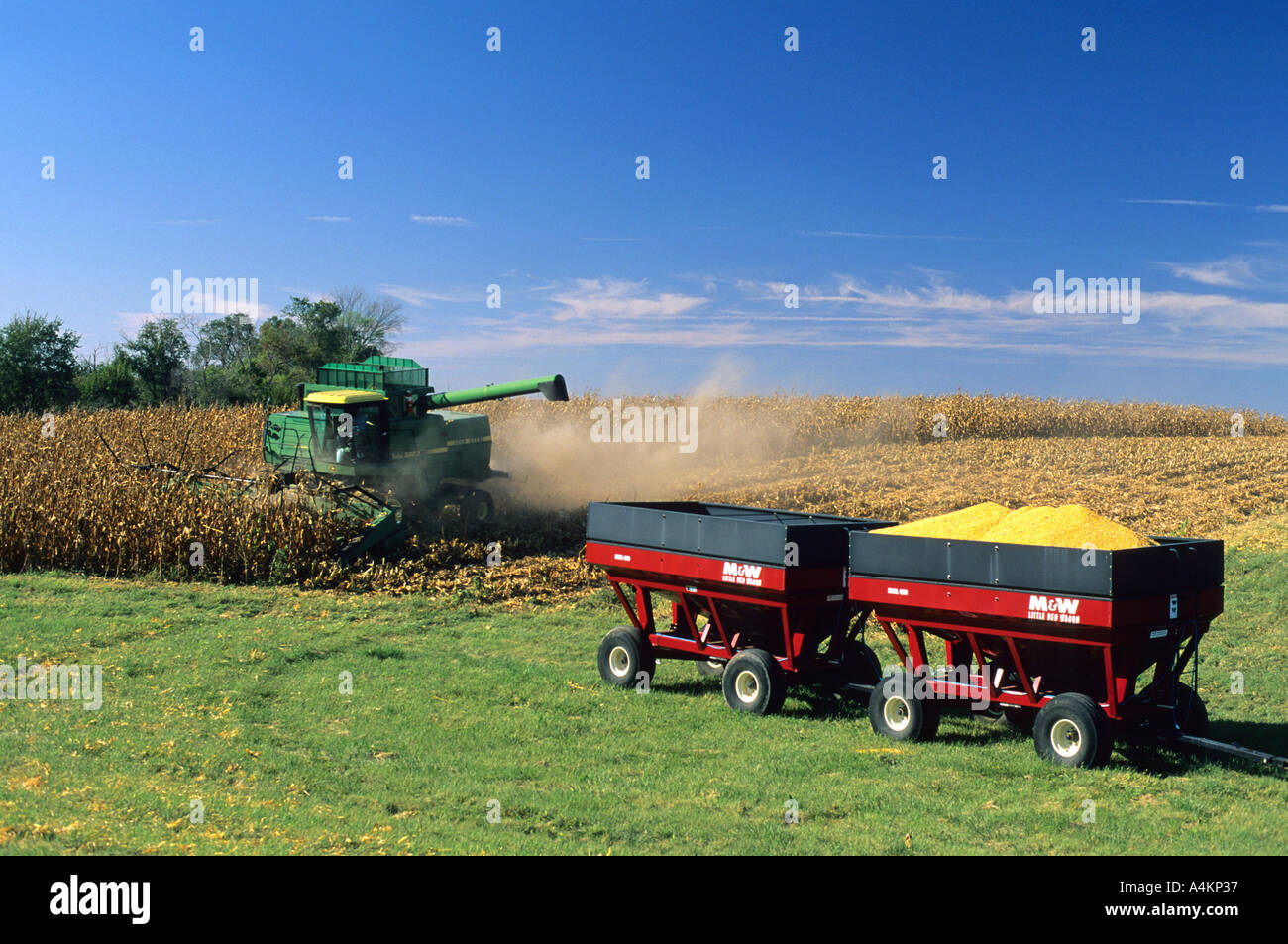 Corn harvest in Southeast Iowa Stock Photo - Alamy