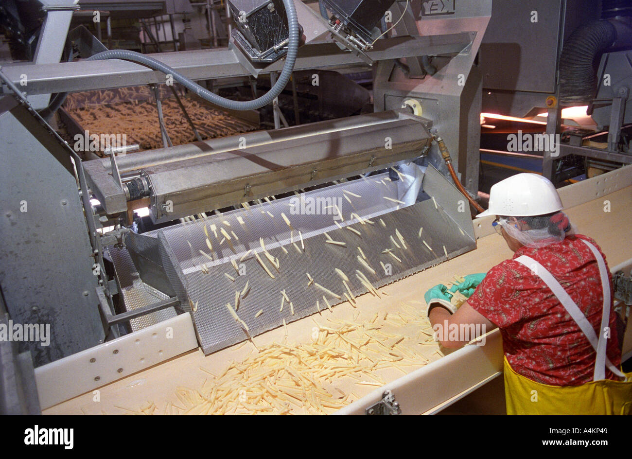A french fry sorting machine in a processing plant Stock Photo - Alamy