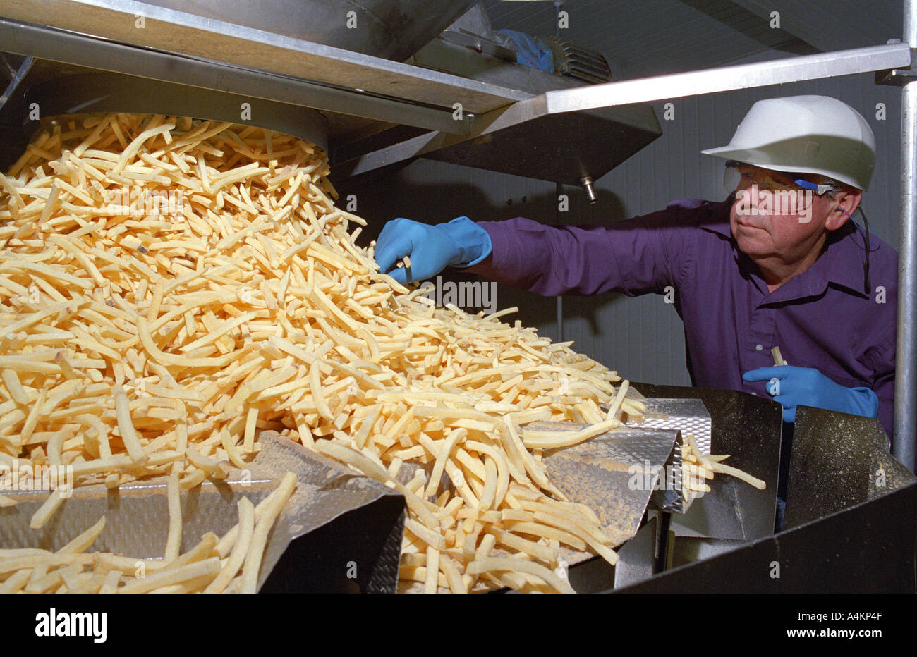 Frozen french fries being sorted for bagging at a processing plant in ...