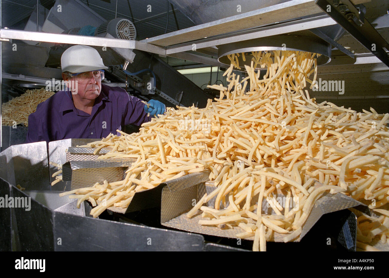 Frozen french fries being sorted for bagging at a processing plant in ...